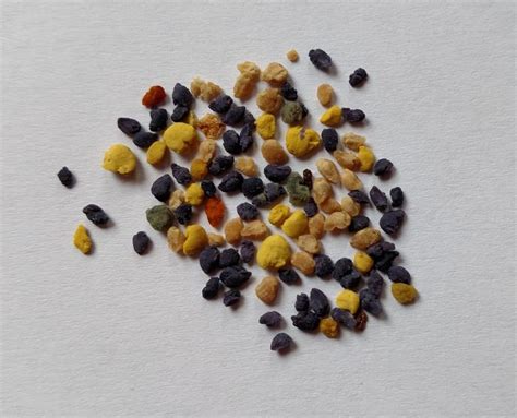 Sample Of Bee Pollen Bee Pollen Black Peppercorn Pollen