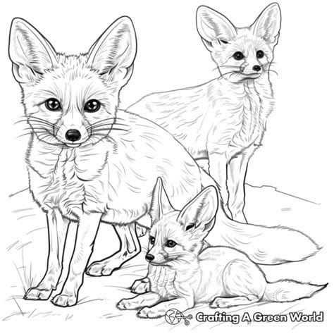 Fennec Fox Coloring Pages Free And Printable