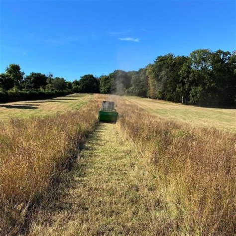 Ce Verified 06 20th Dry Wet Grass Pellet Machine For Sale