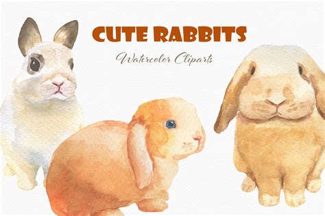 Cute Bunny Rabbit Watercolor Clipart Png Graphic By Joydigitaldesign By