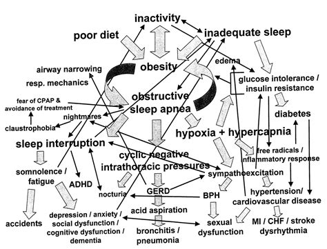 Sleep And Neurology Sleep Disorders Are Simple And Theyre Not