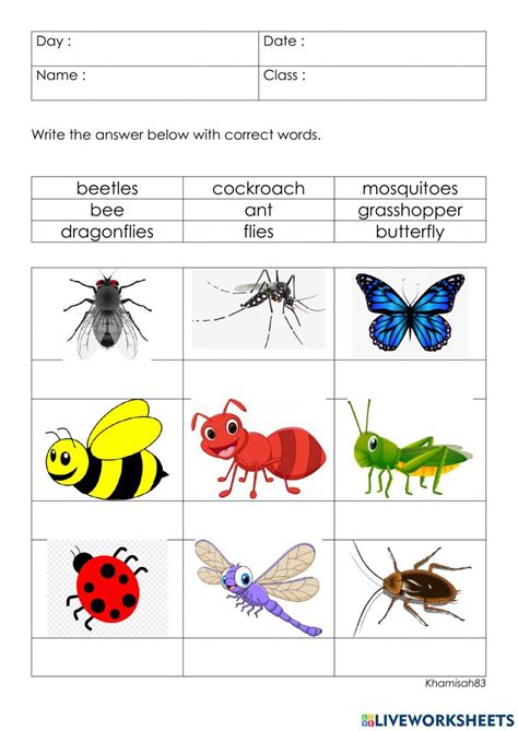 Insects Free Interactive Worksheets 1229462
