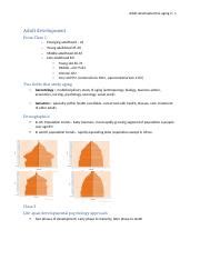 Understanding Adult Development Aging Phases Influences And Course Hero