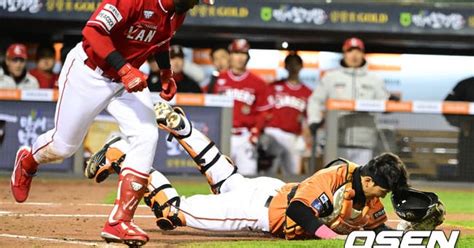 사진 박상언 아이고 조선비즈