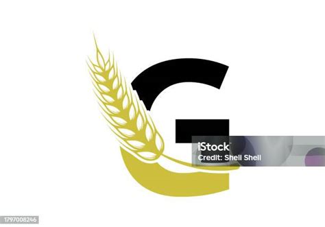 편지 G 기호 기호 밀 귀 화 환 농업 로고 농업 템플릿 벡터 기호 개념에 대한 스톡 벡터 아트 및 기타 이미지 개념 곡초류 귀 부분 Istock