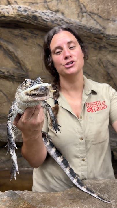 Chompers Is Still Learning How To Be An Apex Predator But He Is On His