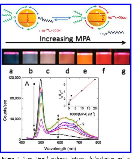 Figure 1 From Recent Advances In Quantum Dot Surface Chemistry Semantic Scholar
