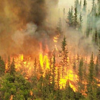 Extreme Week For The U S Defenders Of Wildlife