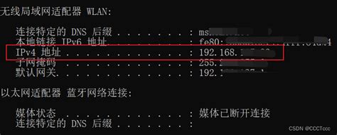 Vmware Ping不通主机的解决方案主机ping虚拟机能通 虚拟机ping主机不通 Csdn博客