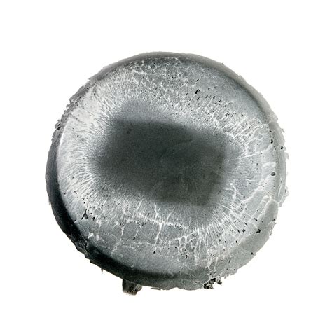 Gravity Stool Special Edition Transnatural Touch Of Modern