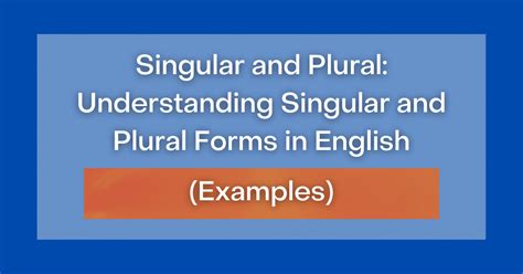 Singular And Plural Understanding Singular And Plural Forms In English