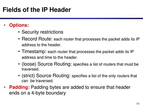 Ppt Ip The Internet Protocol Powerpoint Presentation Free Download