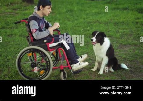 A Disabled Person Plays With A Dog Canitis Therapy Disability