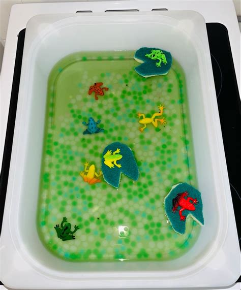 Frog Sensory Bin