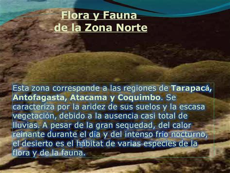 Flora Y Fauna De Chile Ppt 2 Ppt