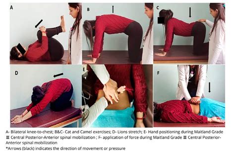 Lumbar Canal Enlargement Exercises And Manual Therapy Download