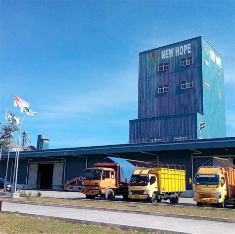Pt New Hope Indonesia Lampung Bandar Lampung