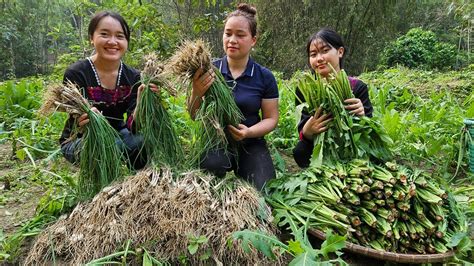 Harvest Vegetables With Ly Thi Ca Goes To Market Sell Bếp Trên Bản Youtube