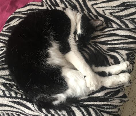 Mimida Puchumis Album On Imgur