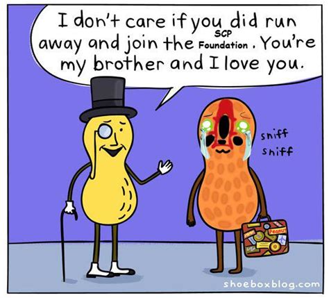 Brothers In Nut Rdankmemesfromsite19