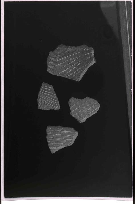 Feldioara Jud Brașov Situl Arheologic Dealul Cetății An Necunoscut