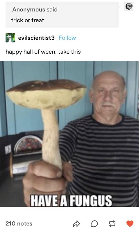 4657 Best Ween Images On Pholder Ween Brawlstars And Halo