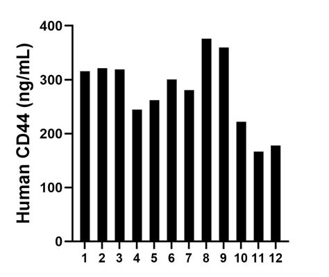 Cd44 Antibody 84854 3 Pbs Proteintech