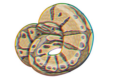 Some Trippy Chromatic Ball Python Morph Illustrations I Drew This Week