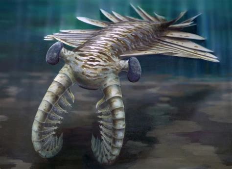 Radiodonta Anomalocaris The Zt2 Round Table