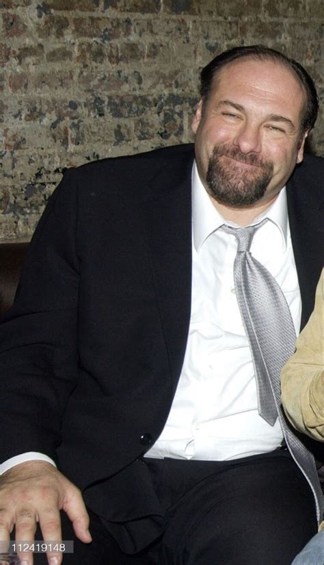 Pin On James Gandolfini