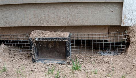 How To Get Rid Of A Skunk Under My Deck In Marietta