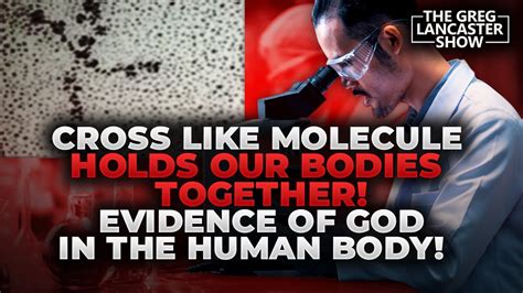 Cross Like Molecule Holds Our Bodies Together Evidence Of God In The