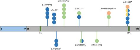 Phenotypic Spectrum Of Fgf10 Related Disorders A Systematic Review [peerj]