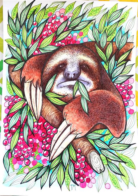 Wanted To Share My Sloth Boy I Drew Over The Weekend Rdrawing