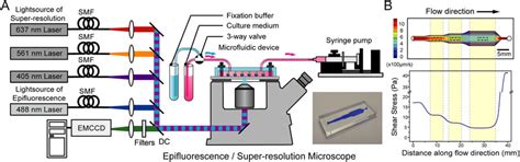 A Schematic Of The Microfluidic Device Combining Epifluorescence And Download Scientific