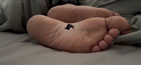 Giantess Cali Unaware As A Tiny Plays At Her Feet While She Rests