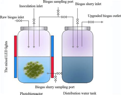 Schematic Diagram Of Photobioreactor Download Scientific Diagram