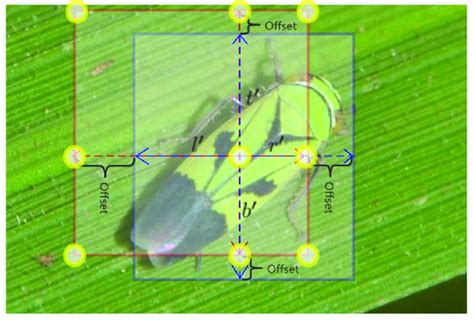 Representation Of Star Box Download Scientific Diagram
