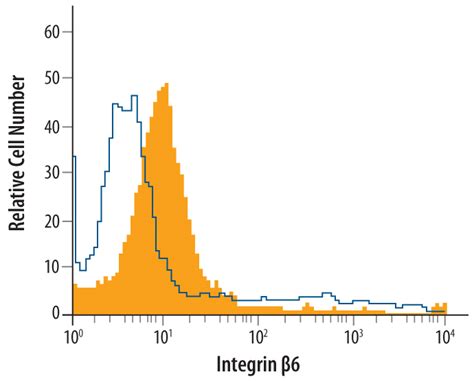 Integrin Beta 6 Antibodies Novus Biologicals