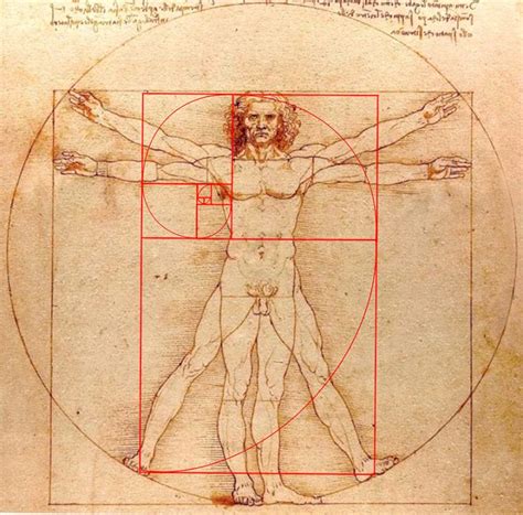 Golden Ratio In Art Learn How To Use The Golden Ratio In Art