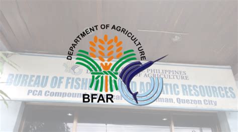 Ng Bfar Logo Mte Araw Ng Dabaw 2024 Region 11 Mindanao Trade Expo