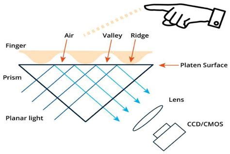 Fingerprint Systems Sensors Image Acquisition Interoperability And Challenges