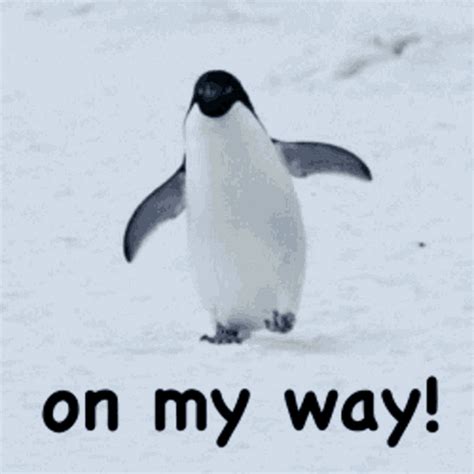 Yo Im On My Way 