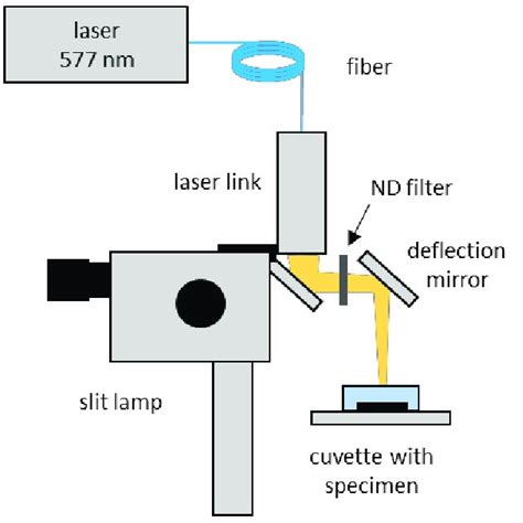 Experimental Set Up For Rpe Damage Detection Download Scientific Diagram