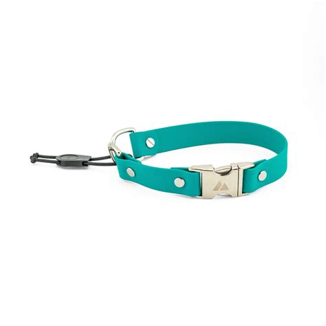 Atlas Biothane® E Collar Strap 1 Inch Wide Quick Release Bungee Etsy