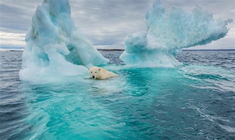 Arctic Ocean Pictures