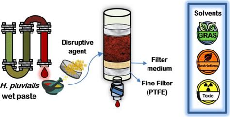 Mspd Extractive Procedure For Wet Haematococcus Pluvialis Red Aplanospore Download Scientific