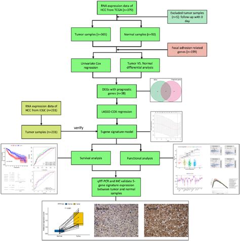 Flow Chart Of Data Collection Analysis And Experiment Download Scientific Diagram