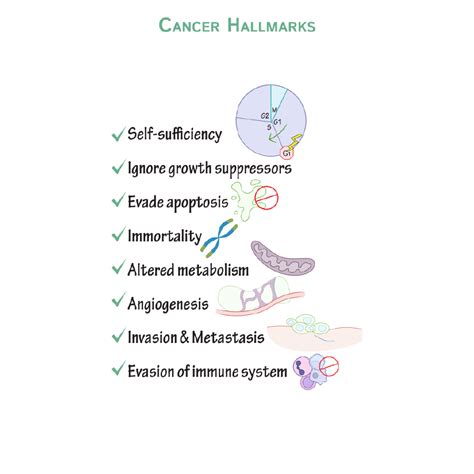 Clinical Pathology Glossary Carcinogenesis Ditki Medical And Biological Sciences