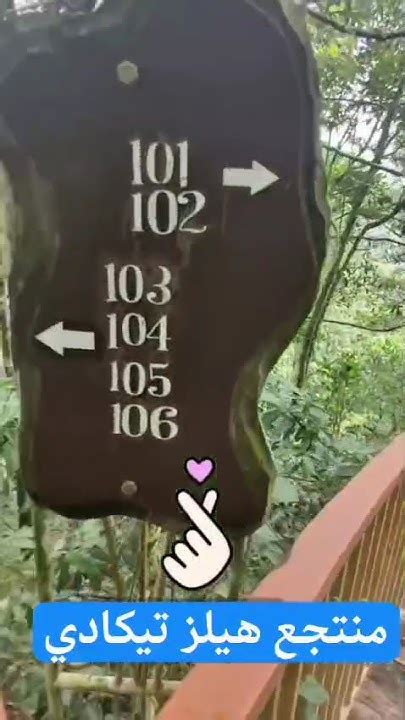 الهند كيرلا ج 22 Youtube